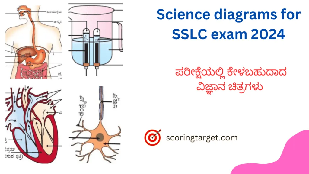 Science diagrams for SSLC exam 2024 - ScoringTarget
